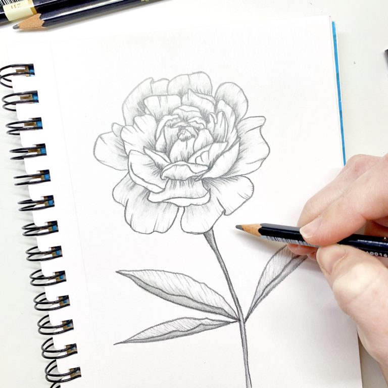 How to Draw a Peony With The MONO Drawing Pencil Set - Tombow USA Blog