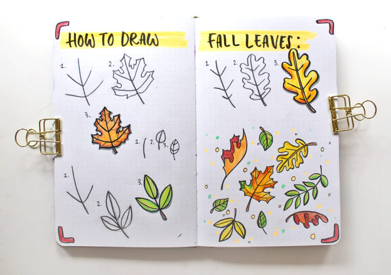 Draw Fall Leaves and make a cute Autumn Illustration